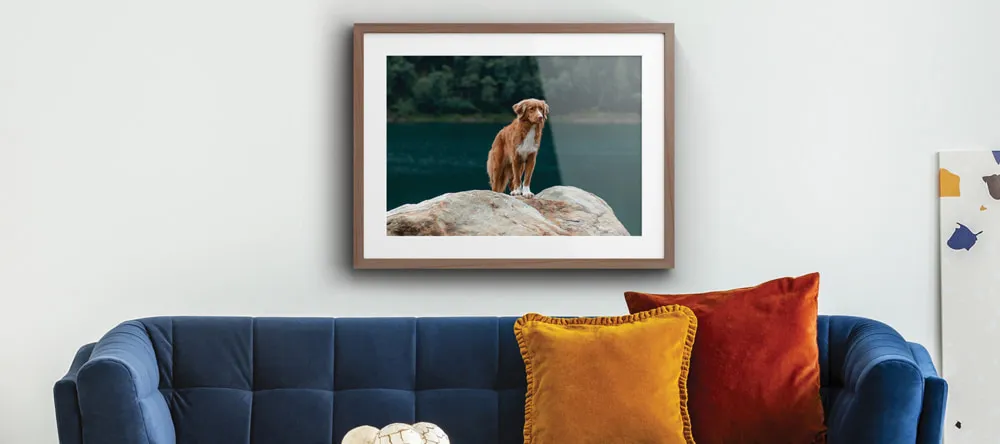 Glossy or Matte for Photos: What’s the Best Finish for Your Prints ...