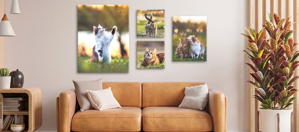 Custom Cat Canvas Art: Celebrate Your Feline Friend in Style